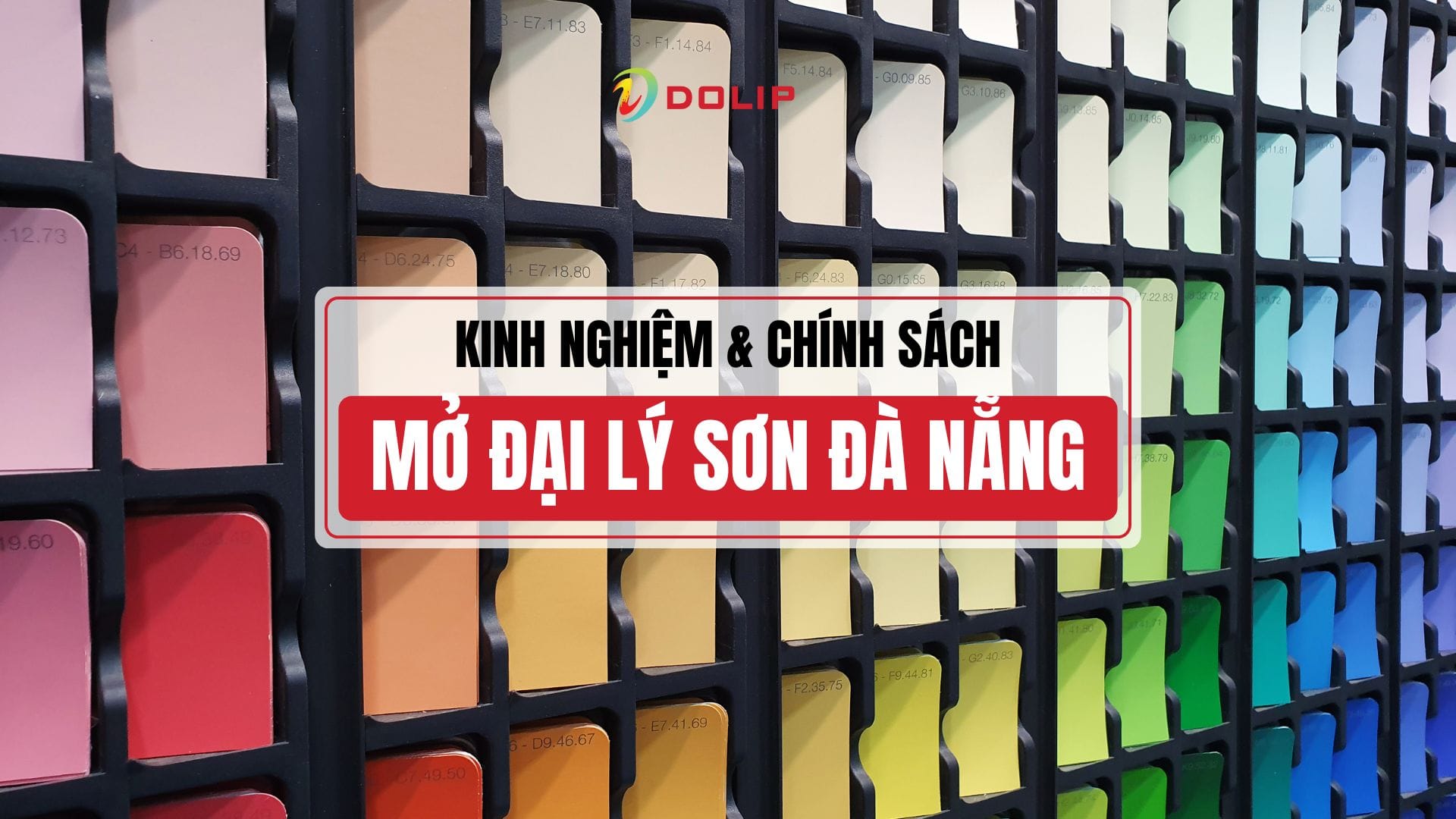 Cẩm Nang Mở Đại Lý Sơn Đà Nẵng - Top 3 Đại Lý Sơn Dolip Đà Nẵng